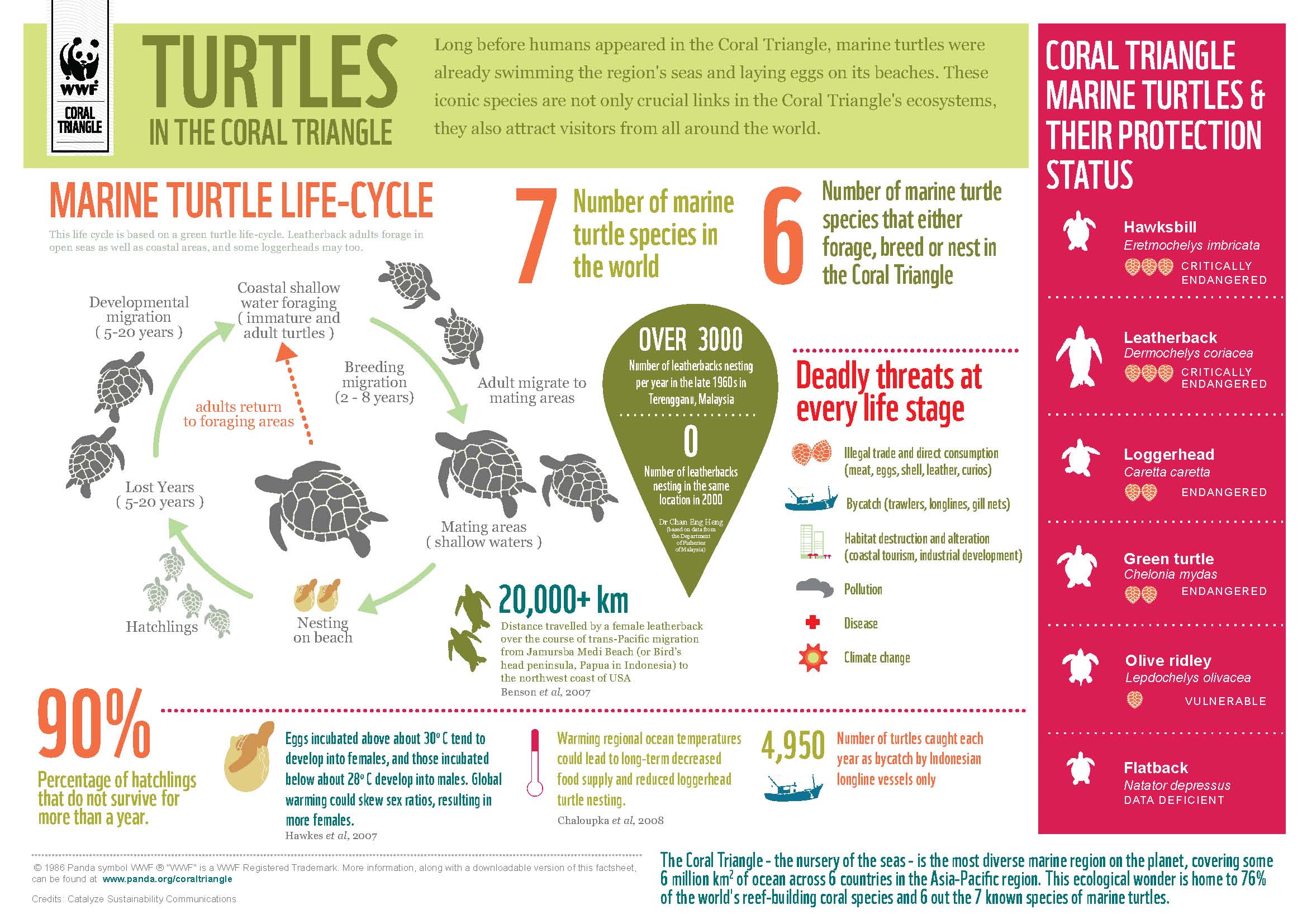 Where is the coral triangle?